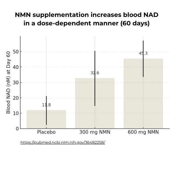 NMN Side Effects: Everything You Need To Know – Naturecan UK